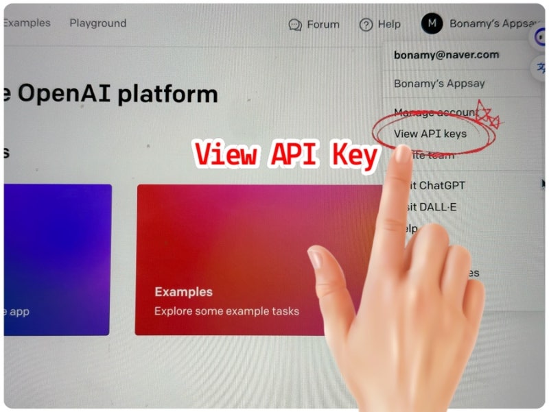 ChatGPT API key 발급받는 방법 : API는 뭐고 챗GPT API 키는 무슨 역할을 할까? : 네이버 블로그