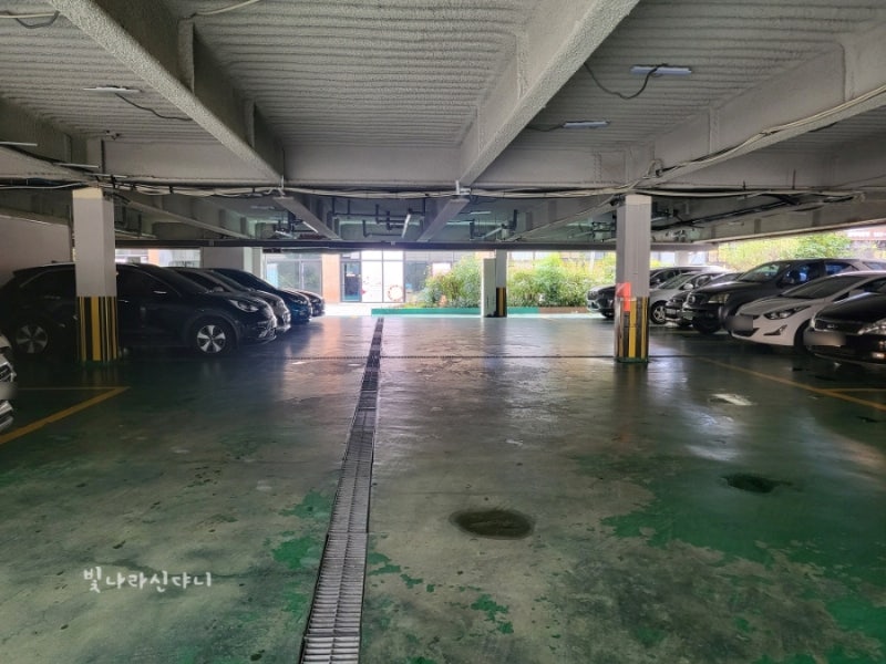 김해시에서 지정한 김해맛집 오가네족발 내돈내산 점심특선 : 네이버 블로그