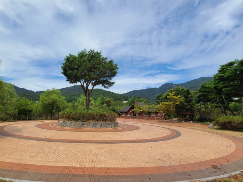 고창 가볼 만한 곳 선운산도립공원 도솔계곡 산책과 천연기념물 탐방 네이버 블로그