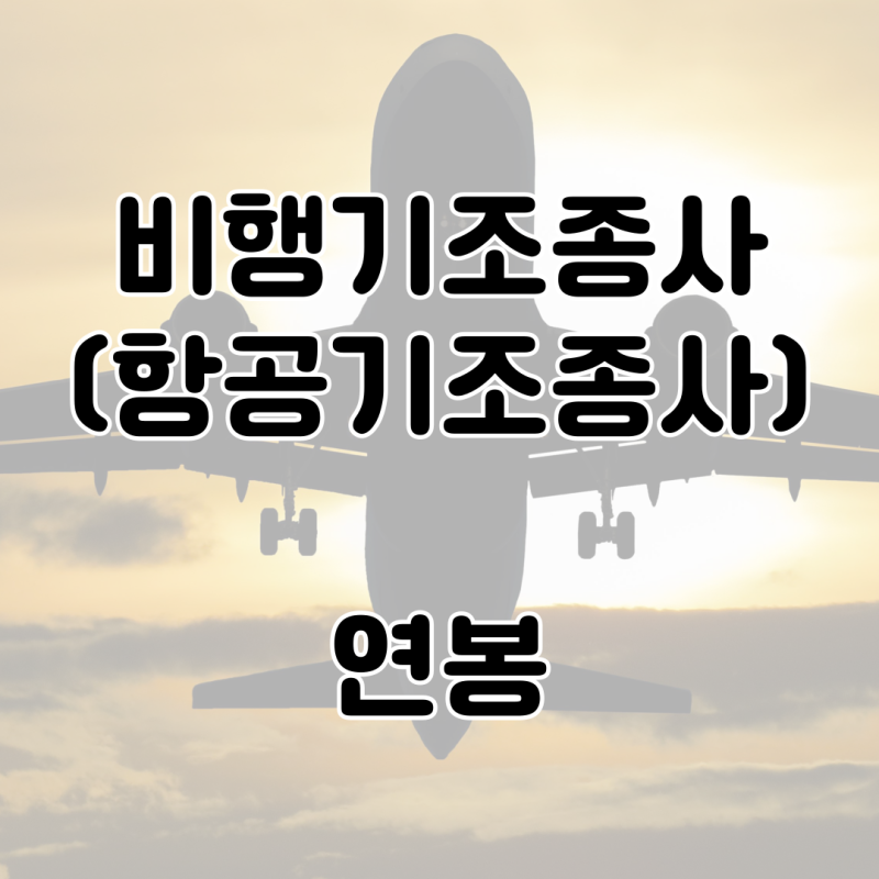 비행기조종사 연봉 항공기조종사 초봉 외항사 파일럿 평균 급여 네이버 블로그