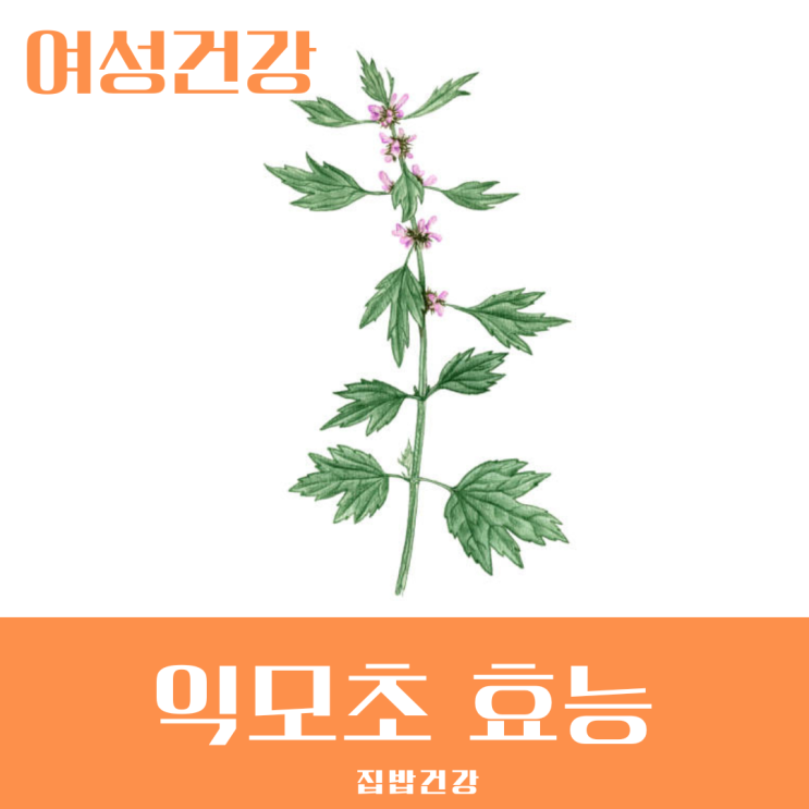 항생제 세파클러캡슐 효과 및 부작용 알아보기