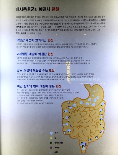 밀양 실내가볼만한곳 한천박물관 체험장 I 한천본가 기념품 판매장 양갱선물 네이버 블로그