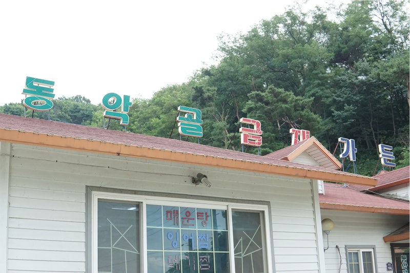 경북 안동 현지인 추천 맛집 리스트 총정리 202308 네이버 블로그