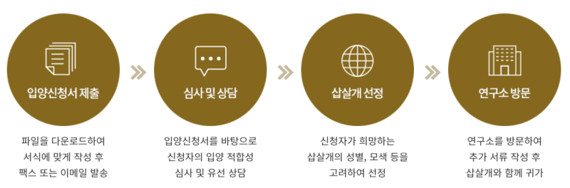 [댕댕이 백과] 삽살개(Sapsaree)에 대해 알아보기 (성격, 특징, 색상, 관리 등) : 네이버 블로그