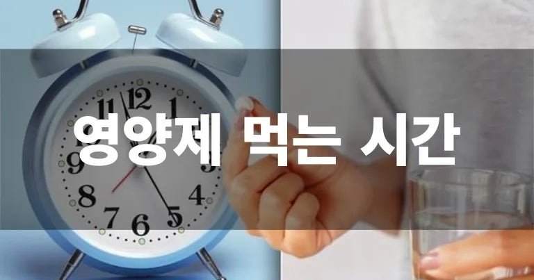 영양제 먹는 순서 시간식전식후 및 내몸에 맞는 계획 네이버 블로그