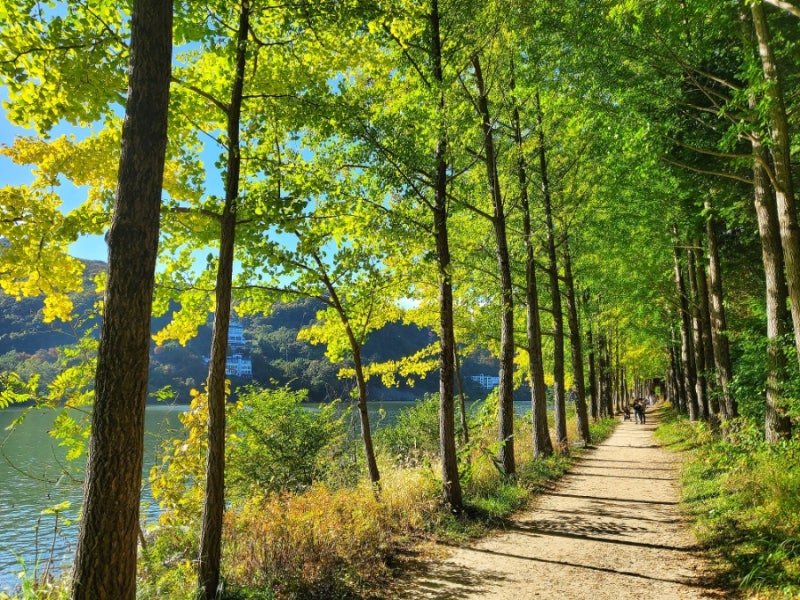 경기도 가평 가볼만한곳 여행지 7곳 꿀잼 가평 여행 코스 네이버 블로그