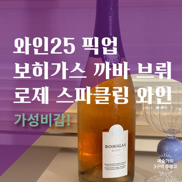 와인25 픽업 스페인 보히가스 까바 브뤼 로제 스파클링 와인 시음기
