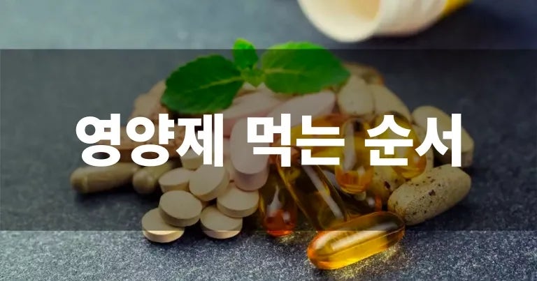 영양제 먹는 순서 시간식전식후 및 내몸에 맞는 계획 네이버 블로그