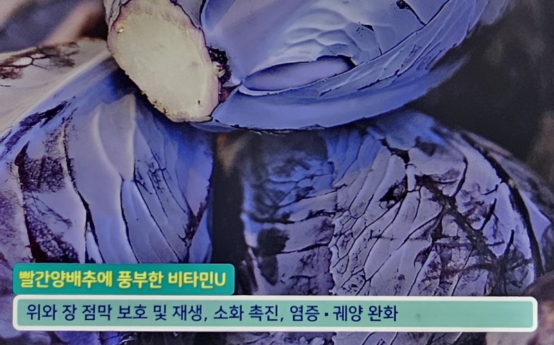 섬유질이많은음식 11가지 식이섬유 권장량 네이버 블로그