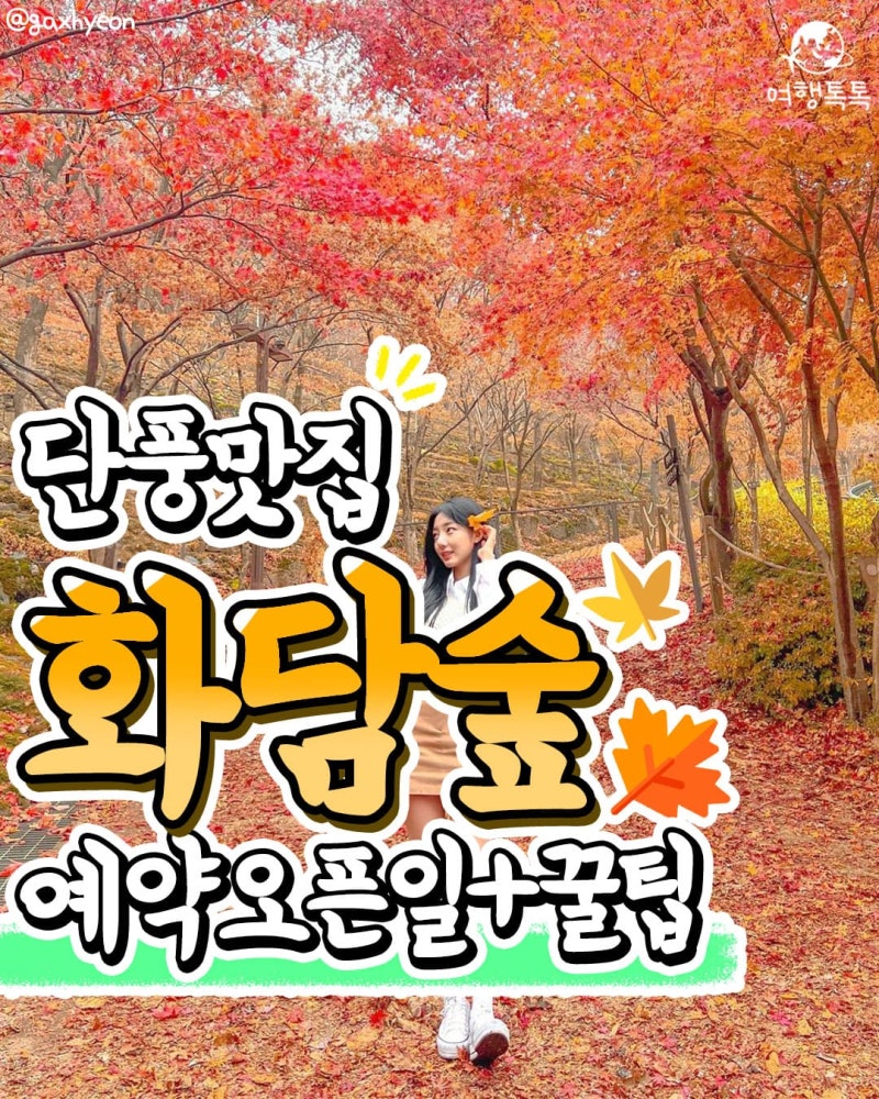 2023 곤지암 화담숲 단풍 축제 예약 오픈 시간 및 꿀팁 총정리 모노레일 네이버 블로그
