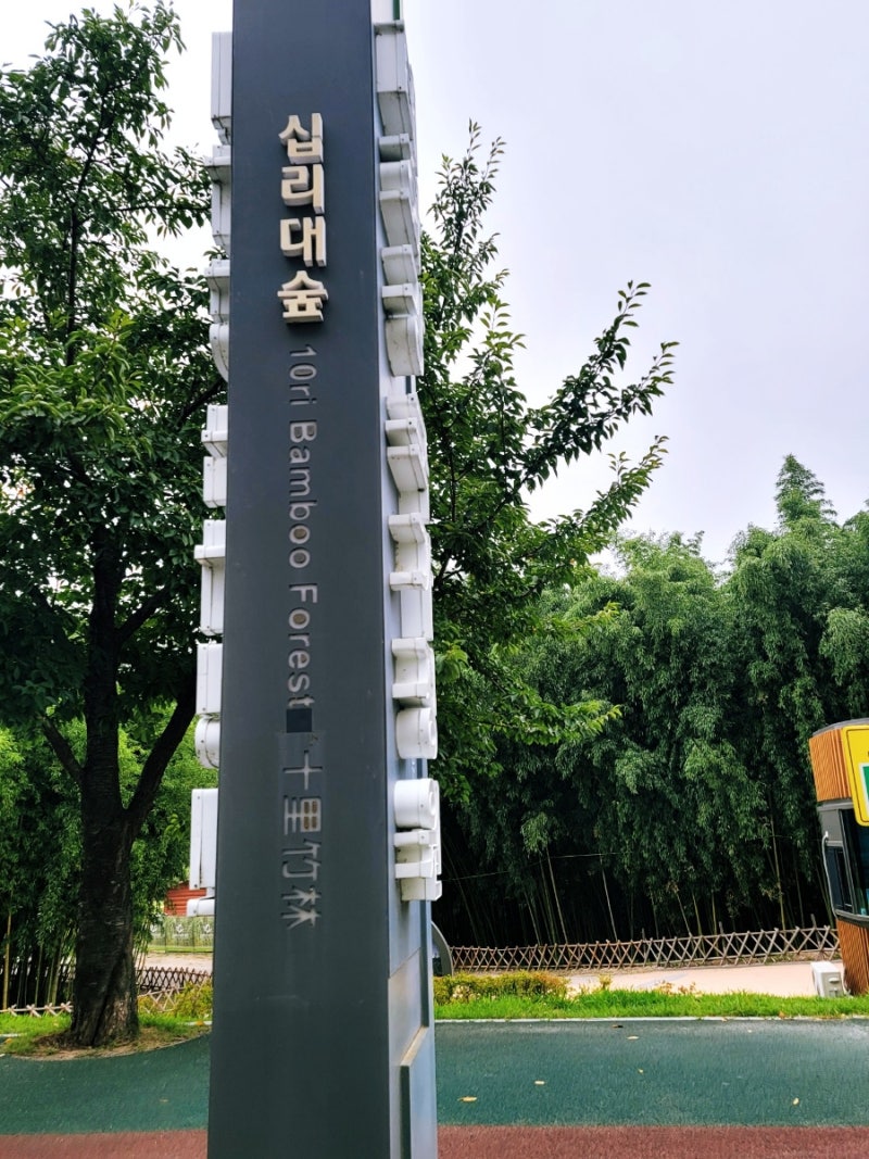 울산 대나무숲 태화강 국가정원 십리대숲 산책코스 관람차 네이버 블로그
