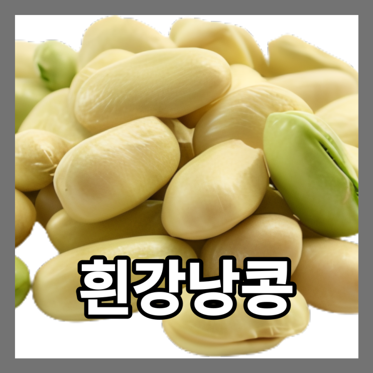 흰 강낭콩 효능 5가지와 부작용칼로리 다이어트 및 하루 섭취량