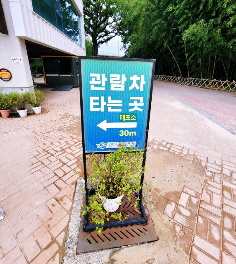 울산 대나무숲 태화강 국가정원 십리대숲 산책코스 관람차 네이버 블로그