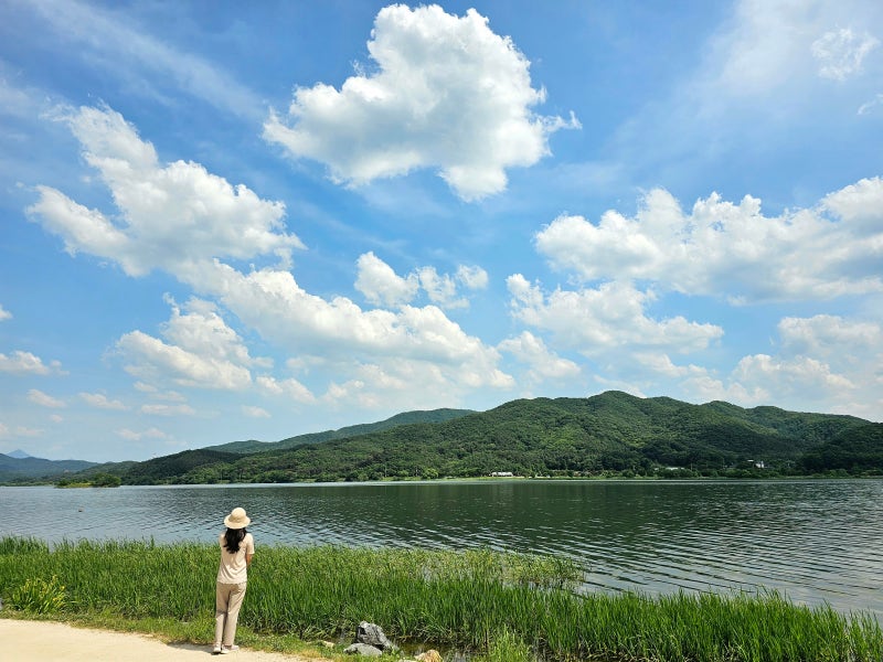 양평 두물머리 당일치기 가을 여행 가볼만한곳 네이버 블로그