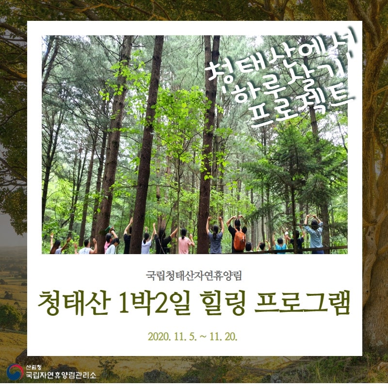 마감완료 국립청태산자연휴양림 1박2일 힐링 프로그램 ※기한모집중 네이버 블로그