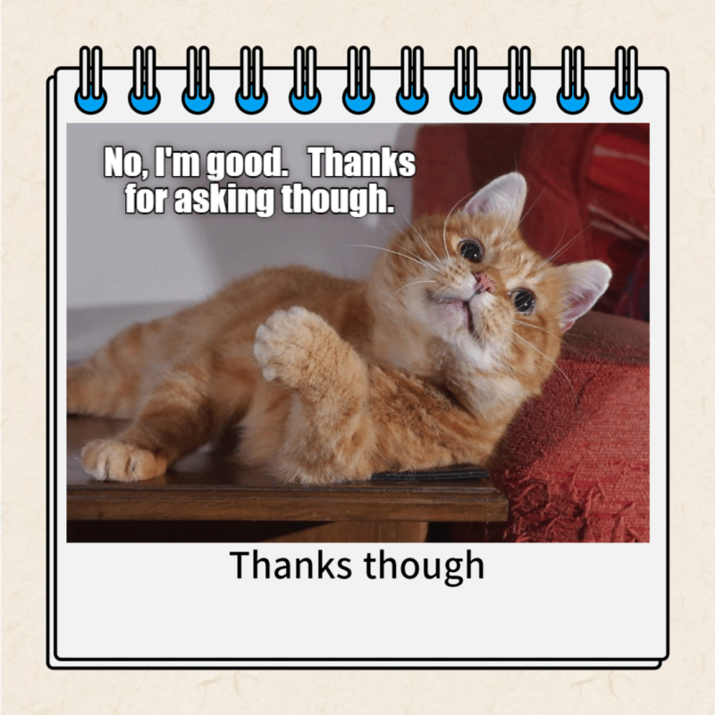 감사합니다, 감사인사, 감사하다 영어로 (thank you, thanks 그만) : 네이버 블로그
