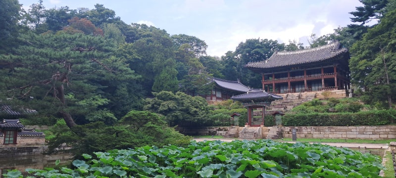 상법법인 민법법인 공익법인 특수법인 설립근거에 의한 분류 네이버 블로그