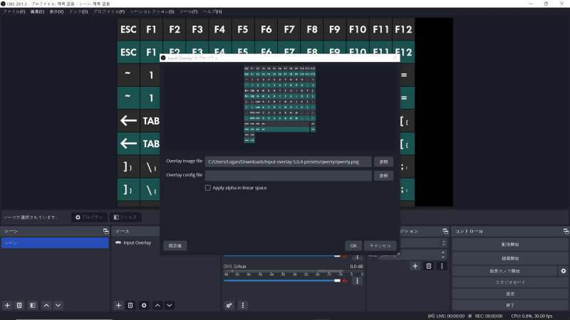 [버튜버 가이드 2] 키보드 및 마우스 오버레이를 활용한 게임 방송 팁! (AvaKit, OBS Studio, NohBoard ...