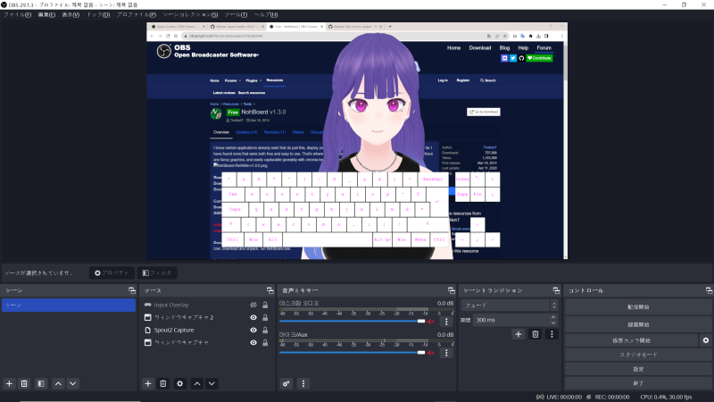 [버튜버 가이드 2] 키보드 및 마우스 오버레이를 활용한 게임 방송 팁! (AvaKit, OBS Studio, NohBoard ...