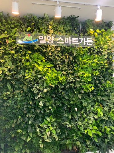 밀양 숙박 도래재 자연휴양림 A동 205호 후기 숲나들e 예약방법바베큐장 야영데크 네이버 블로그