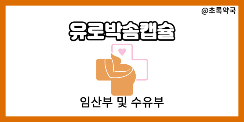 유로박솜캡슐 요로감염 예방 및 치료 복용법 부작용 왜 공복복용인가 Uro Vaxom 네이버 블로그