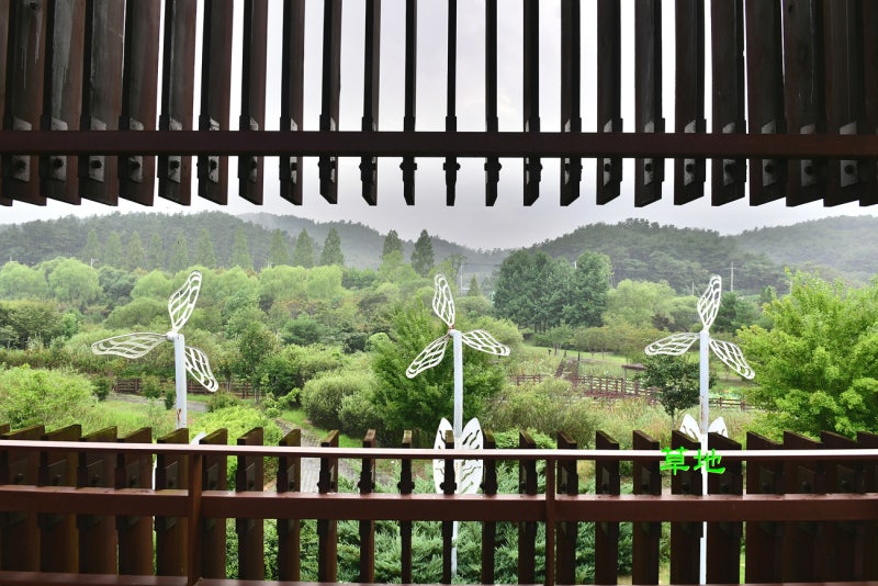 보성 가볼만한 곳 가족 나들이하기 좋은 주암호생태습지 네이버 블로그