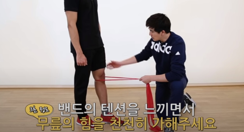 등척성운동 등장성운동 종류 및 무릎 대퇴사두근 운동 효과 네이버 블로그