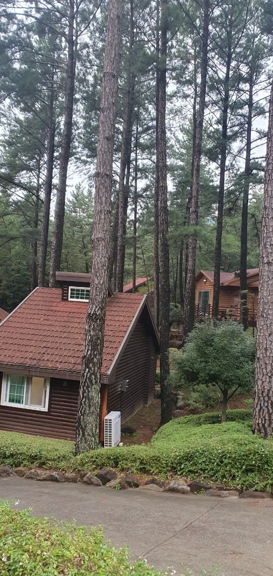 별님반 모임 광양 백운산 자연 휴양림 캐빈하우스 1박2일여행 네이버 블로그
