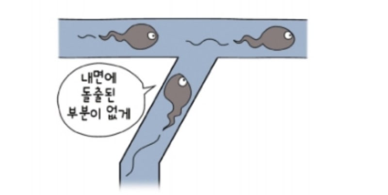 안전 환기장치 종류와 설치기준 공부합시다 네이버 블로그