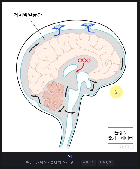 엔테로 바이러스와 바이러스성 뇌수막염 전염과 증상 네이버 블로그