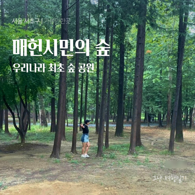 매헌 시민의 숲 양재시민의숲 주차 양재 가볼만한곳 데이트 산책 아이랑가볼만한곳 네이버 블로그