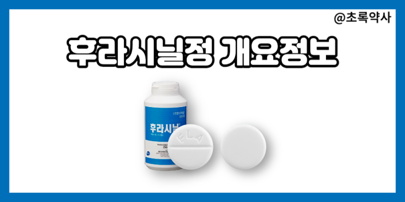후라시닐정 질염 장내감염 항생제 복용법 술 와파린 주의 Flasinyl 네이버 블로그