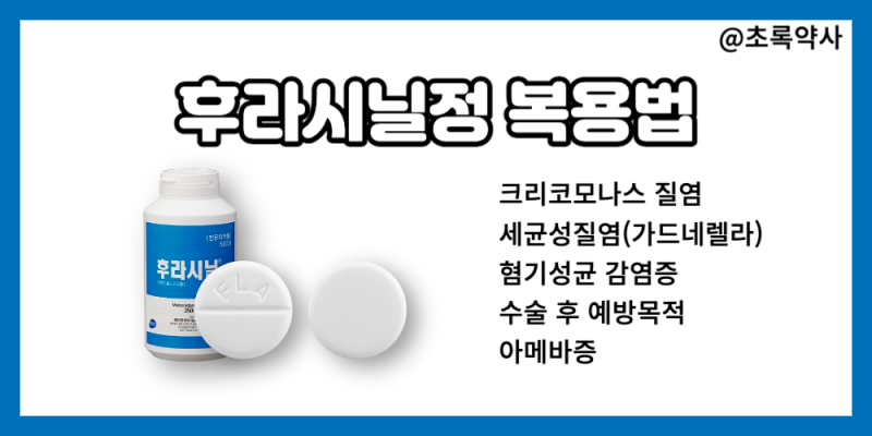 후라시닐정 질염 장내감염 항생제 복용법 술 와파린 주의 Flasinyl 네이버 블로그