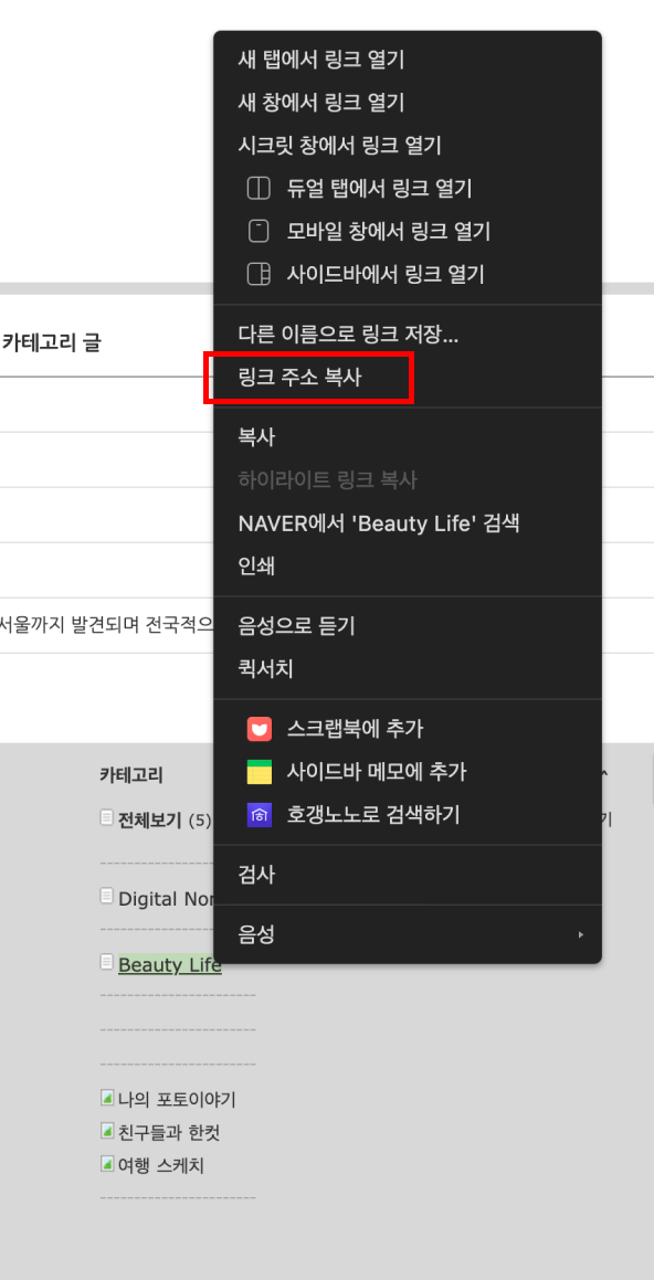 홈페이지형 블로그 꾸미기 블로그 스킨 위젯 적용하기 네이버 블로그
