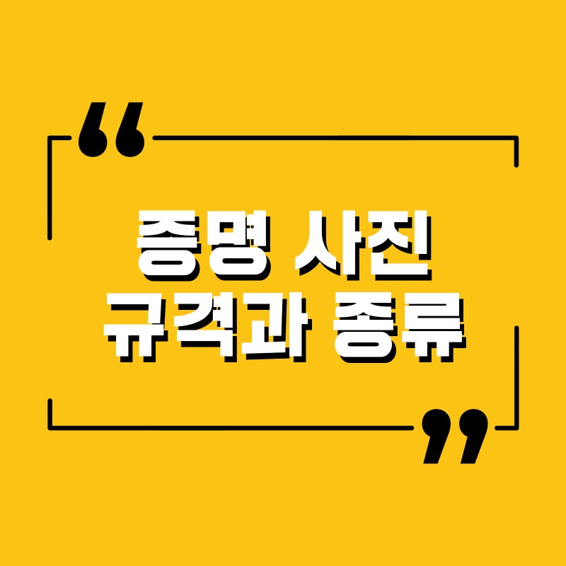 증명 사진 용도별 사진 규격 크기 종류 규정 네이버 블로그