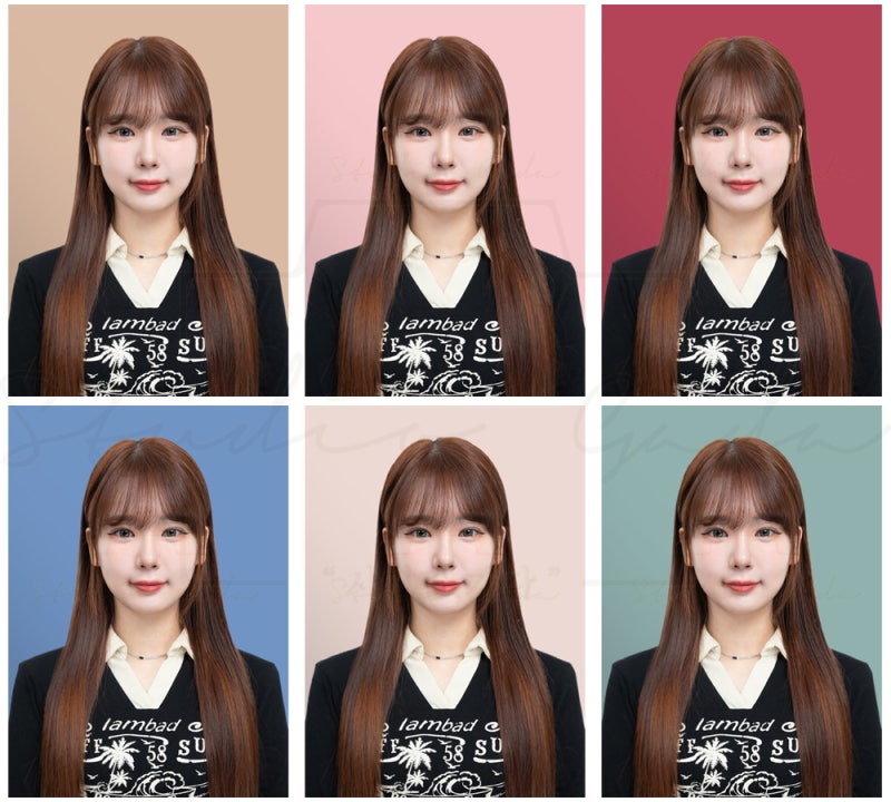 증명 사진 용도별 사진 규격 크기 종류 규정 네이버 블로그
