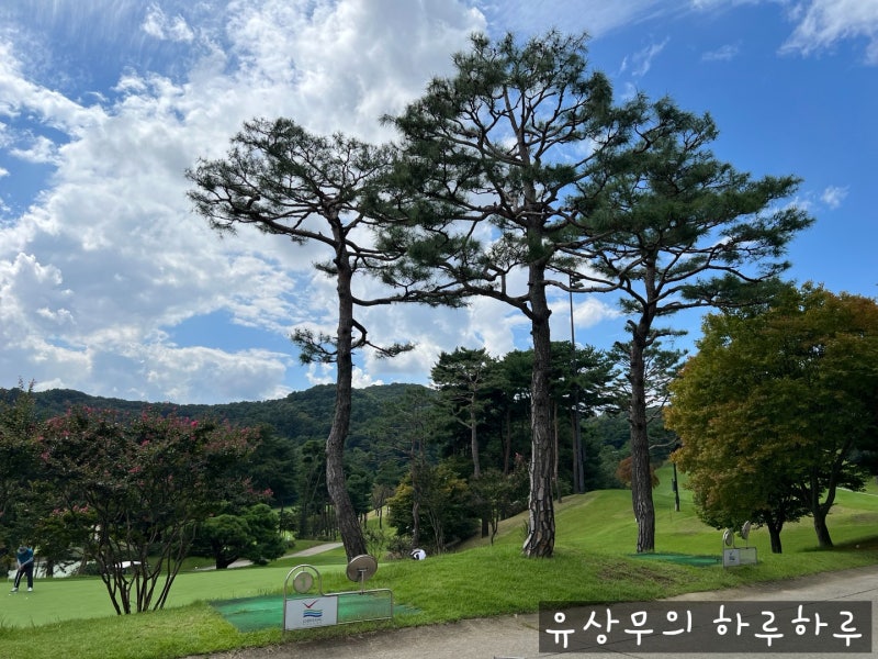 음성 진양밸리cc 27홀 모든 코스와 맛집 소개 네이버 블로그