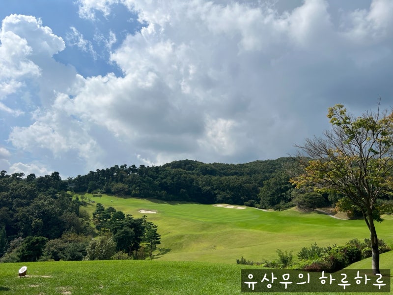 음성 진양밸리cc 27홀 모든 코스와 맛집 소개 네이버 블로그