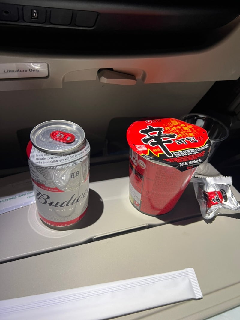 동유럽2 인천 부다페스트행 대한항공 직항 구입 가격 및 Ke961 탑승 후기 오토 체크인 실패 기내식 시간 좌석 추천