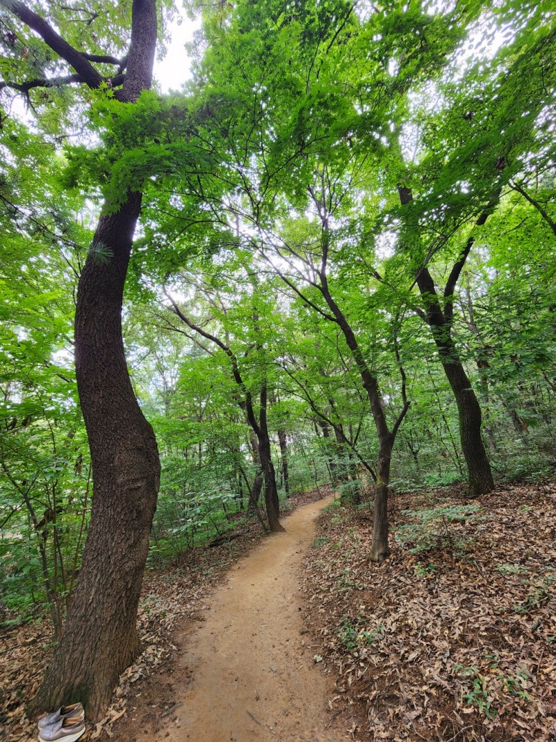 강서구 우장산근린공원 디지털둘레길 소개 네이버 블로그