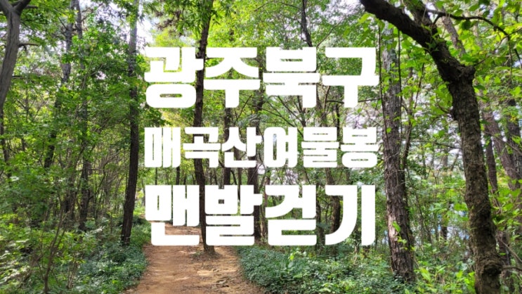 광주북구맨발걷기 삼각동여물봉매곡초뒷편 광주박물관입구에서 맨발걷기