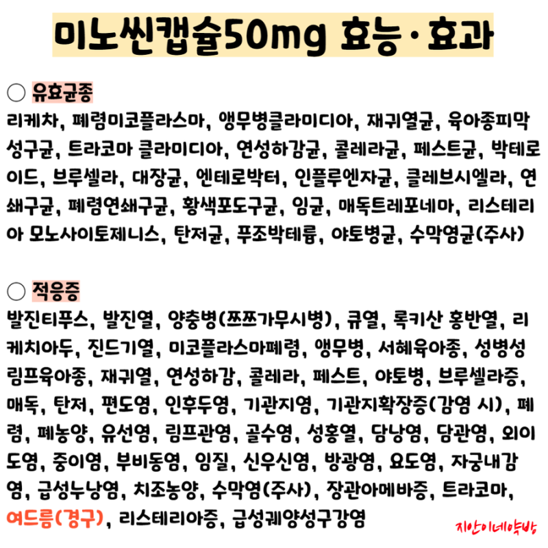 미노씬캡슐50mg 효과 부작용 술 Ft 피부과 여드름 항생제 네이버 블로그