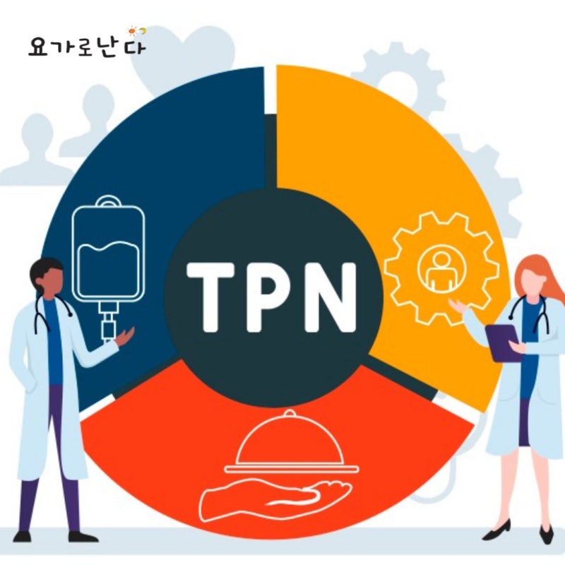 비경구 영양법(Parenteral nutrition)이란 그리고 유형 _ TPN _ PPN _ CPN _ 이점 및 위험 그리고 ...