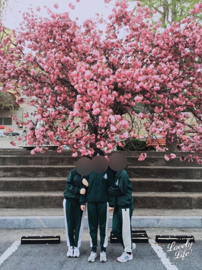 목포해양대학교 졸업생이 알려주는 학교생활 🎓 제복 승선생활관 승선사관부 취업률 수시 및 정시 등급 네이버 블로그