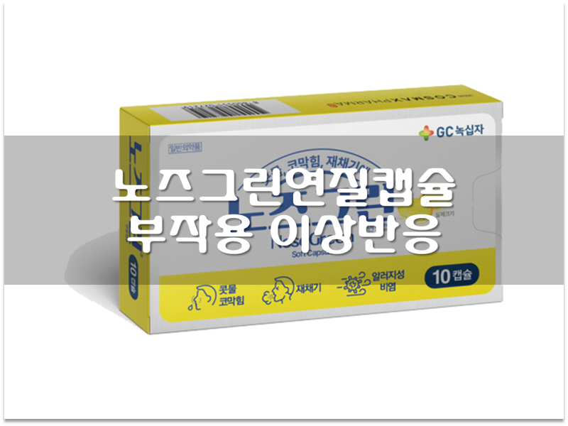 노즈그린 그린노즈 연질캡슐 코감기 콧물 재채기 코막힘 약국 약 효능 효과 복용법 부작용 가격 네이버 블로그