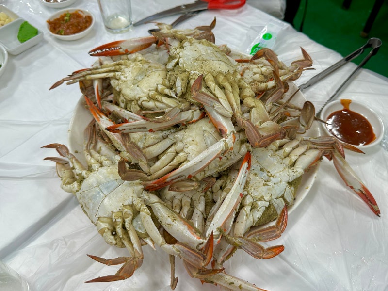소래포구 전통어시장 꽃게 대하 시세 가격 선영이네 후기 네이버 블로그