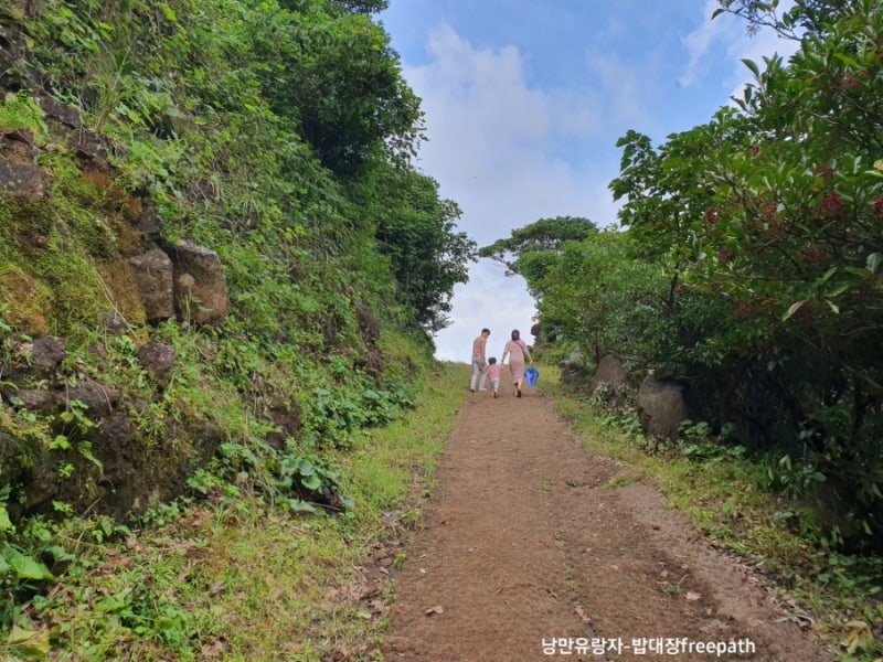 제주도 동쪽 여행 한번에 3가지를 즐기는 곳 제주녹차밭 오늘은녹차한잔비밀의 동굴 네이버 블로그