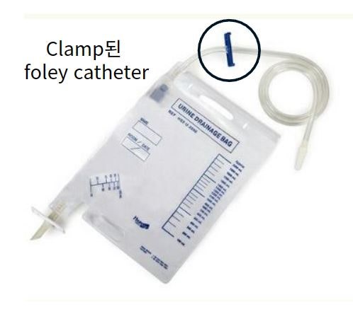 의학용어 Foley training, Bladder training :: 방광훈련 : 네이버 블로그