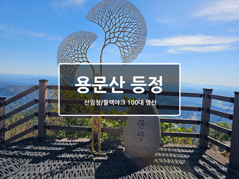 경기양평 용문산 등산코스feat 블랙야크산림청 100대 명산 네이버 블로그