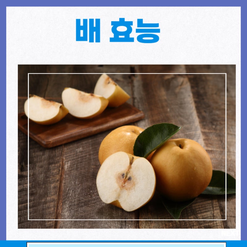 감기에 좋은 과일 배효능 칼로리 부작용 배즙효능 네이버 블로그